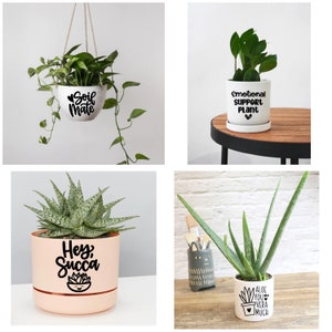 Planter Decals, Aloe You Vera Much,soil Mate, Hey Succa, Emotional ...