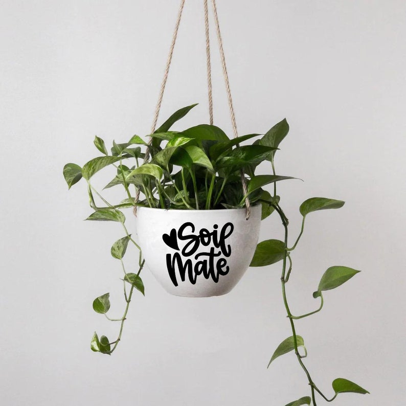 Planter Decals, Aloe You Vera Much,soil Mate, Hey Succa, Emotional ...