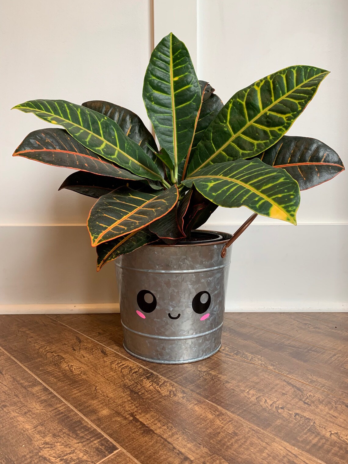 Planter Decals, Welcome to the Jungle, I Will Survive, Cute Faces for ...