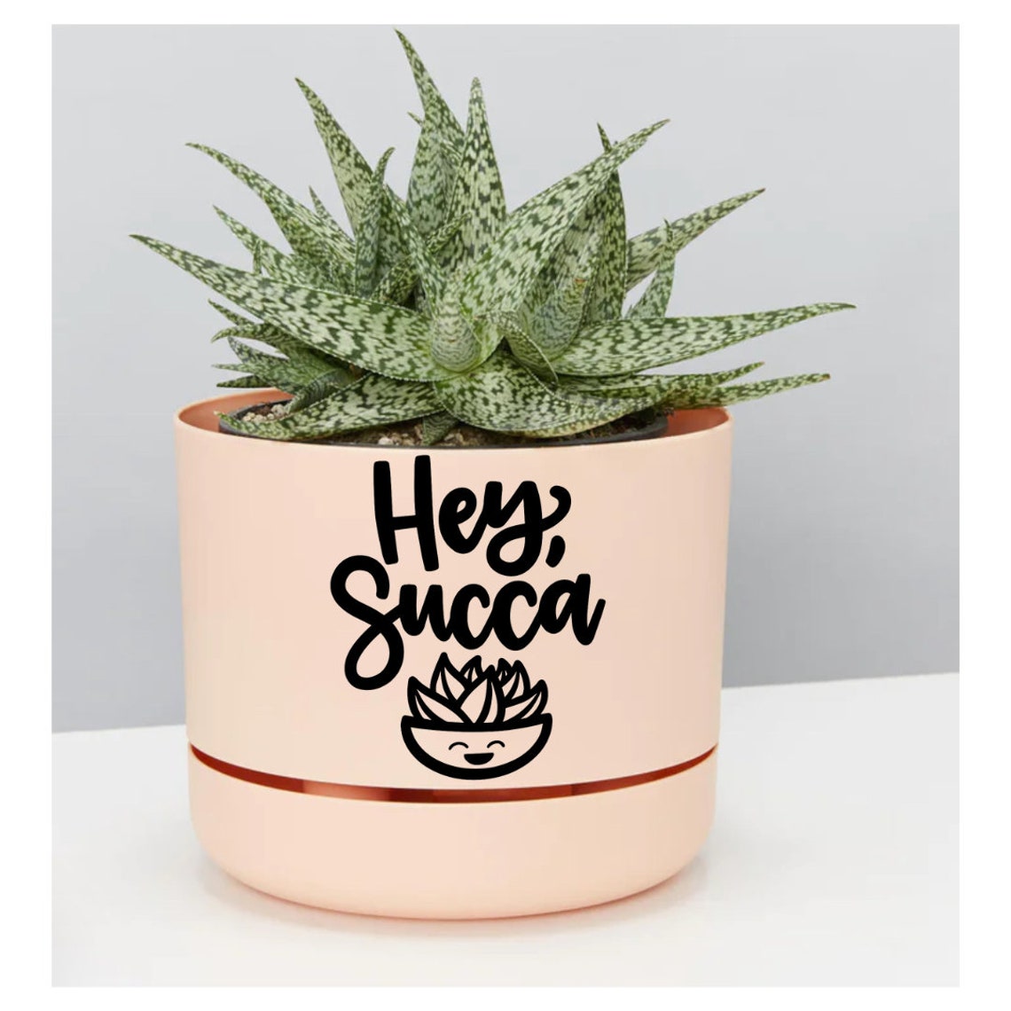 Planter Decals, Aloe You Vera Much,soil Mate, Hey Succa, Emotional ...