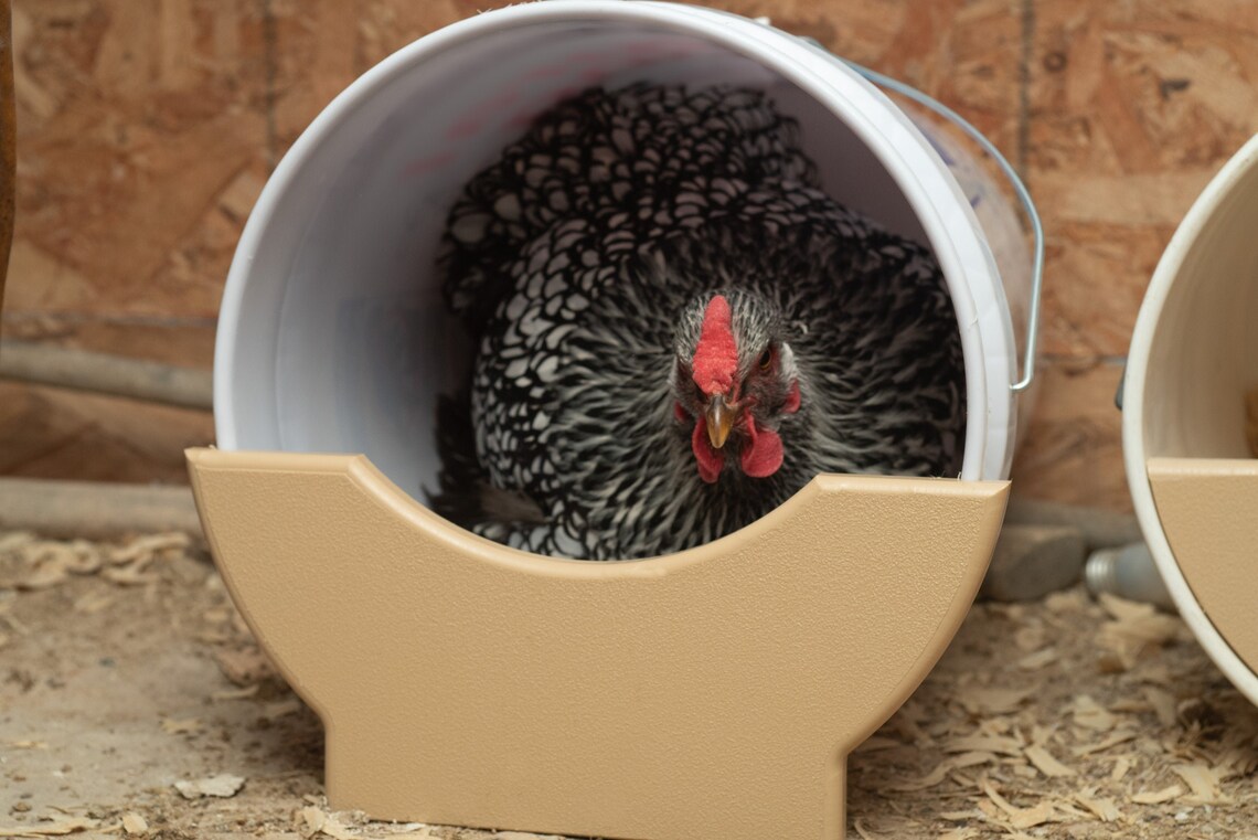EZ Slide Chicken Nesting Box | Etsy