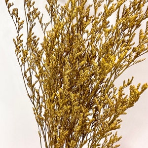Yellow Lover Grass Preserved Flowers Caspia Tiny Flowers Home ...