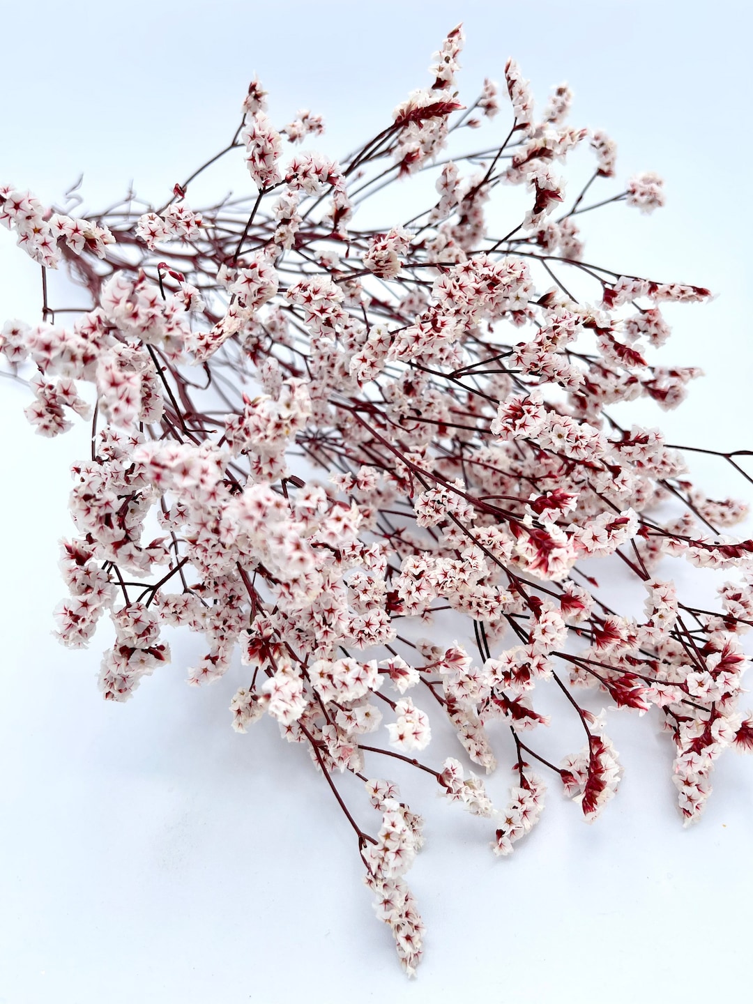 25g of Soft Preserved Mute Red Stems Pink and White Crystal Flowers ...