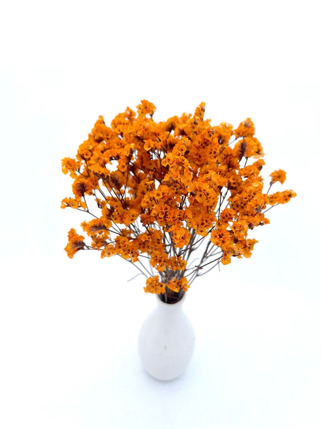 A Small Bouquet Preserved German Statice, Limonium Dried Flower, Floral ...