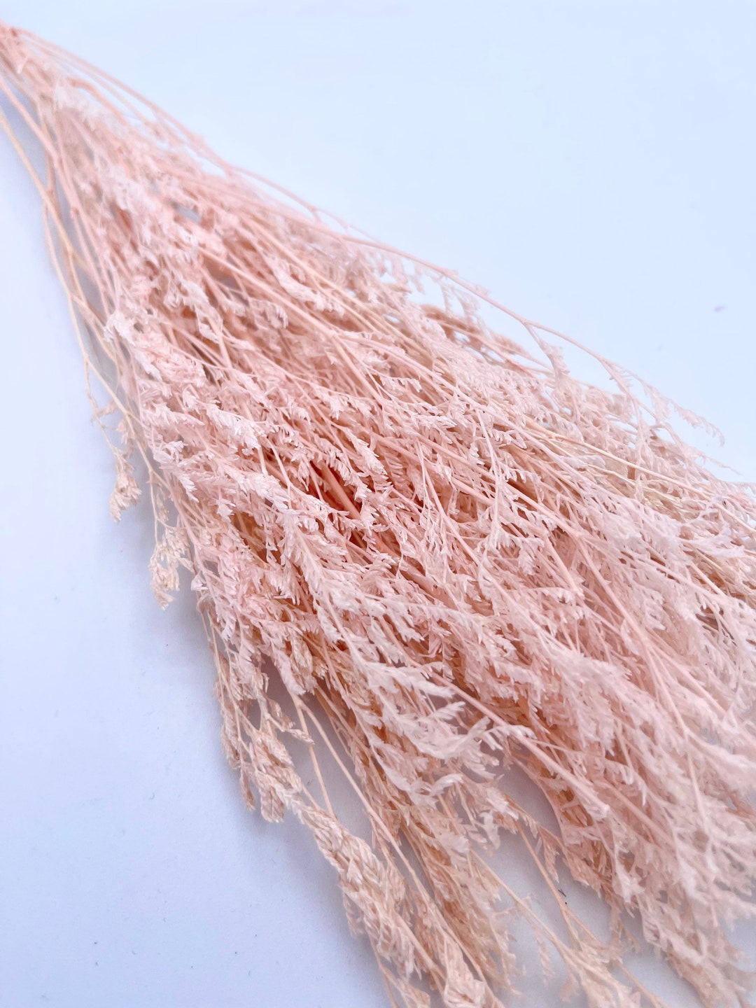 Preserved Light/ Pink Limonium Lover Grass Soft Preserved Flowers ...