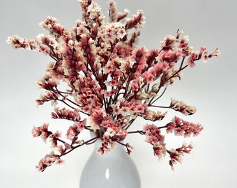 Dried German Statice - Etsy