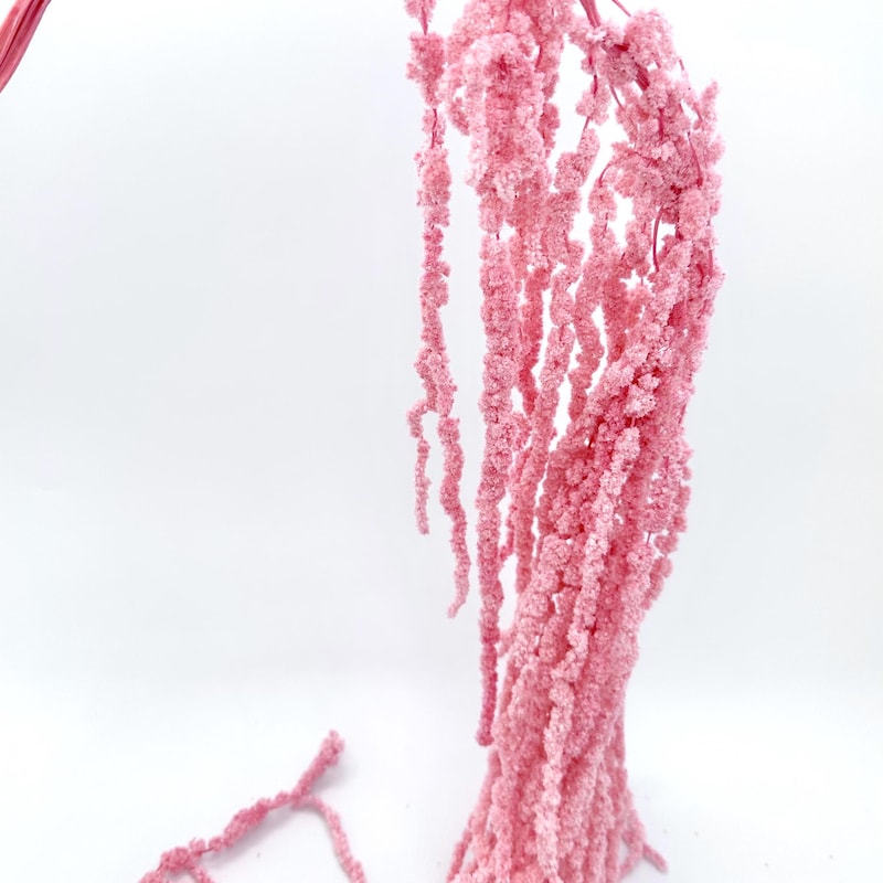 Pink Hanging Stem - Etsy