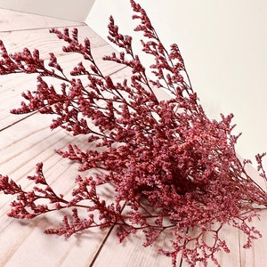 Red Limonium Lover Grass Preserved Flowers Caspia Tiny Flowers Home ...