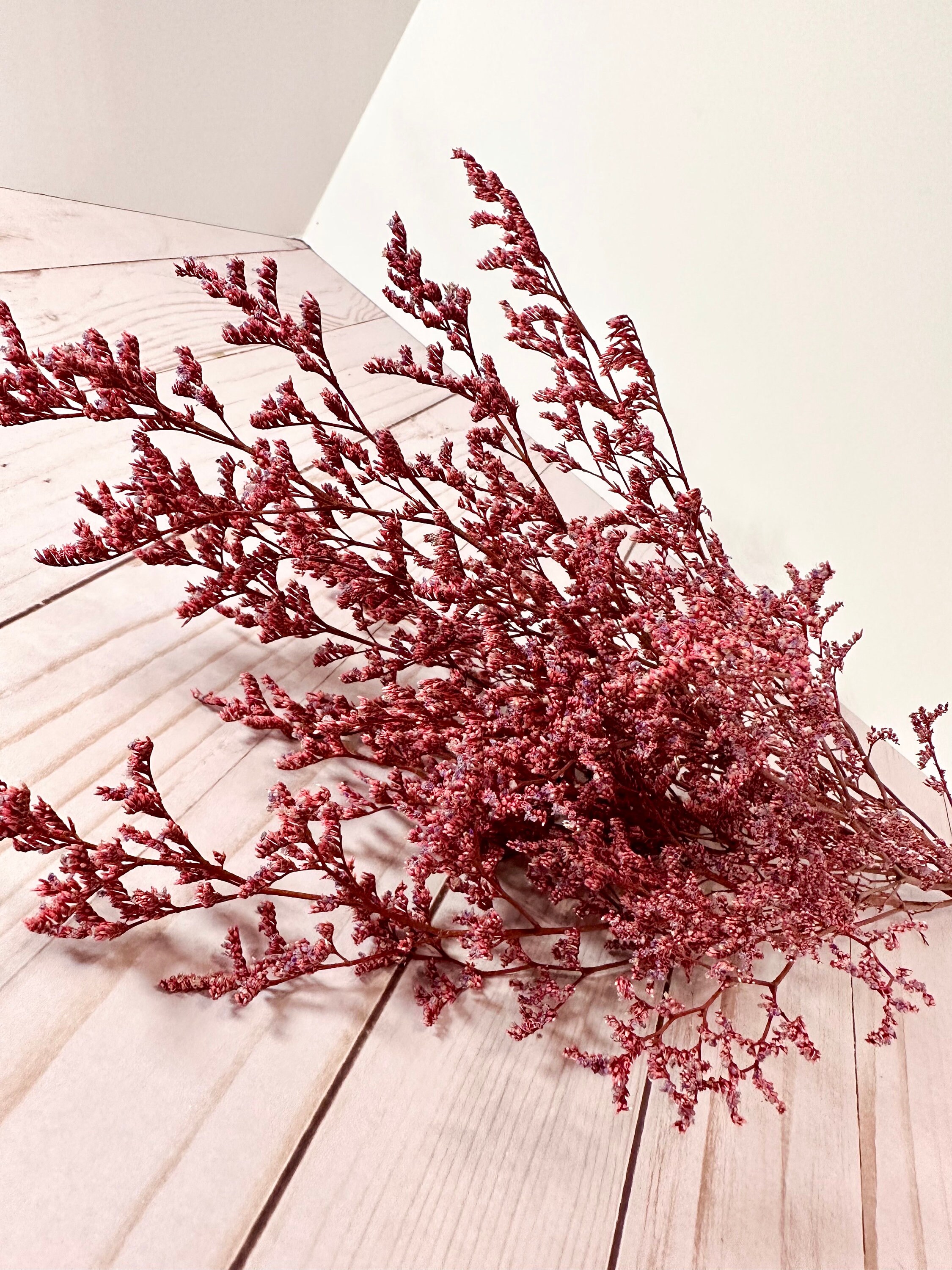 Red Limonium Lover Grass Preserved Flowers Caspia Tiny Flowers Home ...