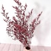 Red Limonium Lover Grass Preserved Flowers Caspia Tiny Flowers Home ...