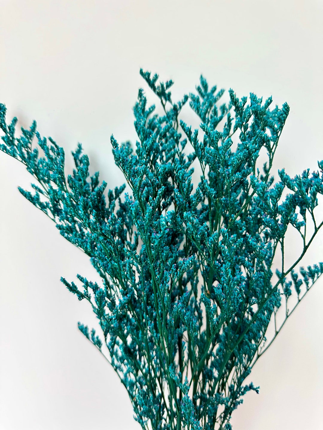 Blue Lover Grass Preserved Flowers Caspia Tiny Flowers Home Decorations ...