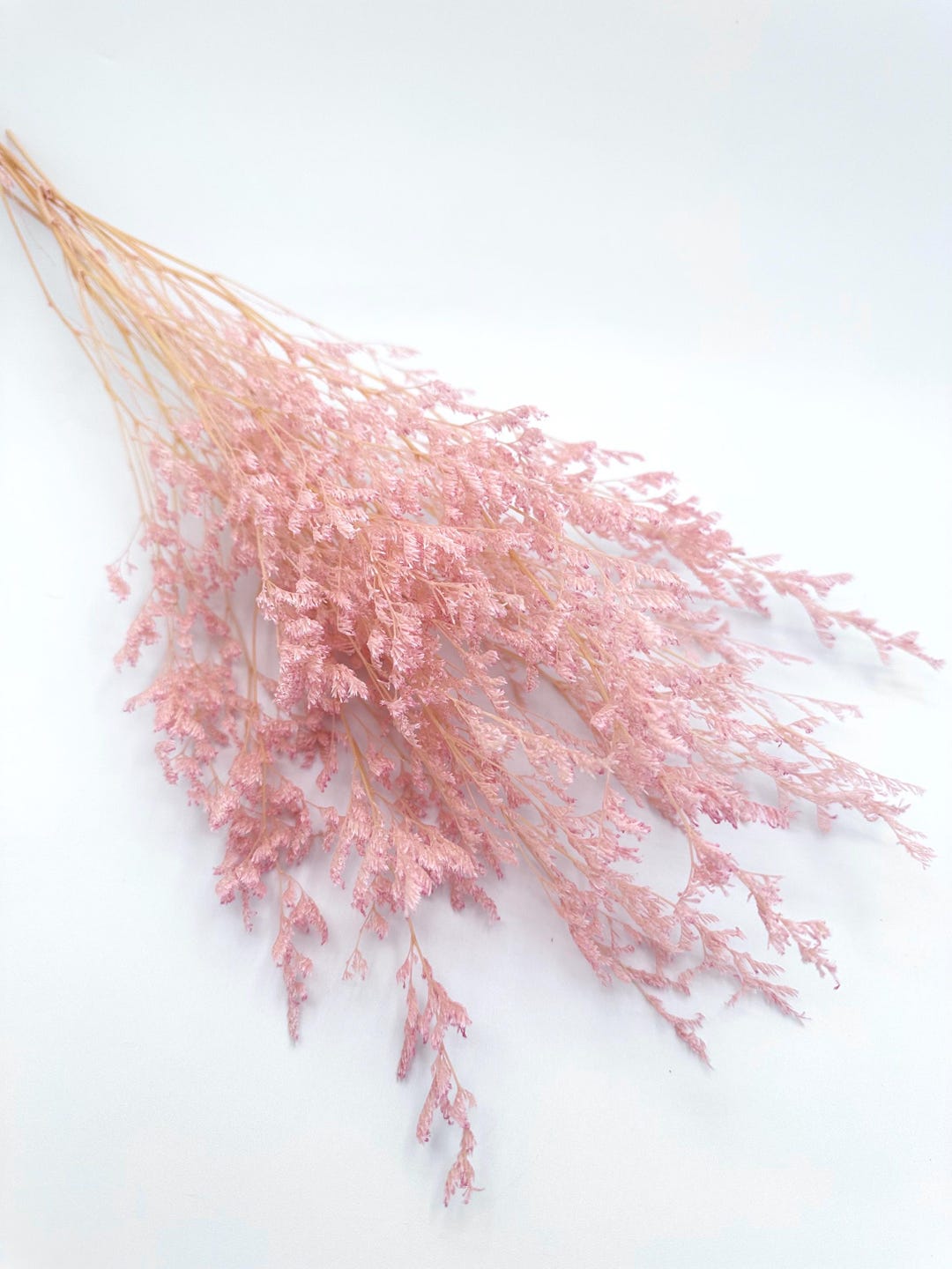 Preserved Light/ Pink Limonium Lover Grass Soft Preserved Flowers ...