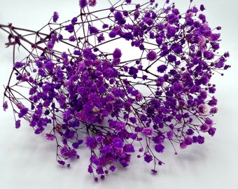 Purple Baby Breath - Etsy