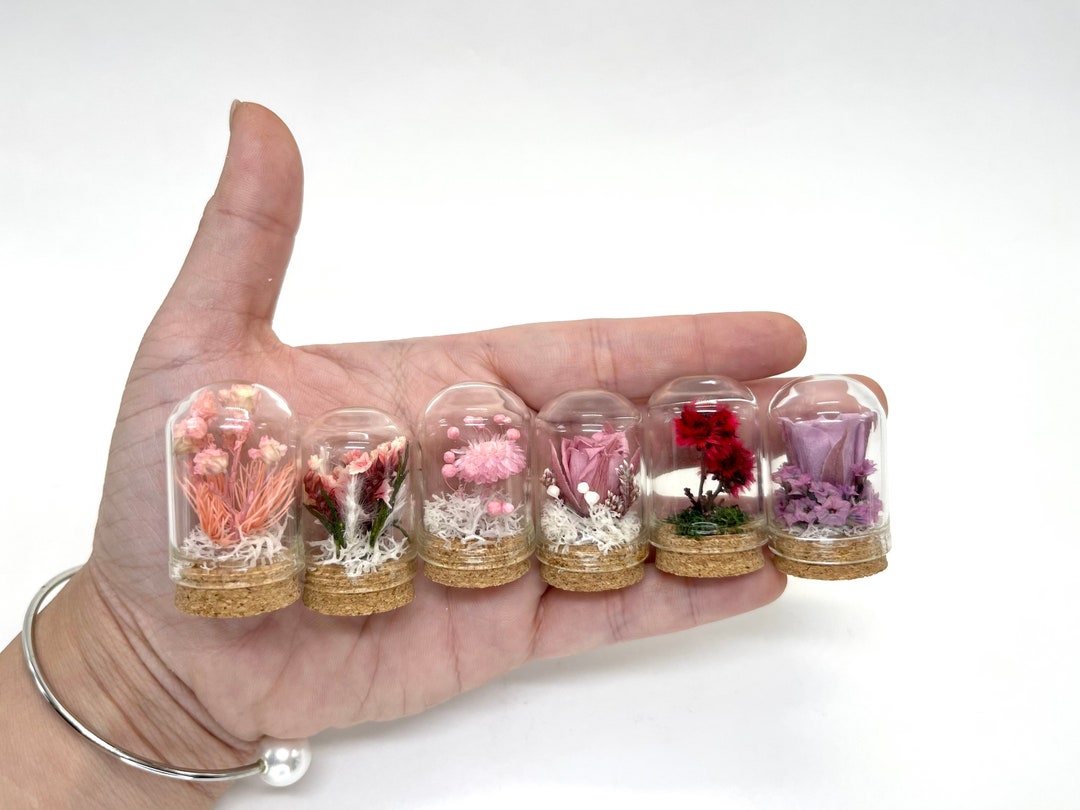 Doll House Micro Mini Preserved Roses and Other Flowers Glass Dome 100% ...