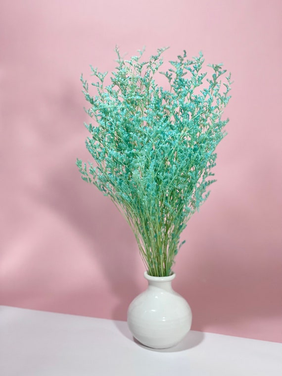 Green Limonium