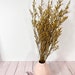 Yellow Lover Grass Preserved Flowers Caspia Tiny Flowers Home ...