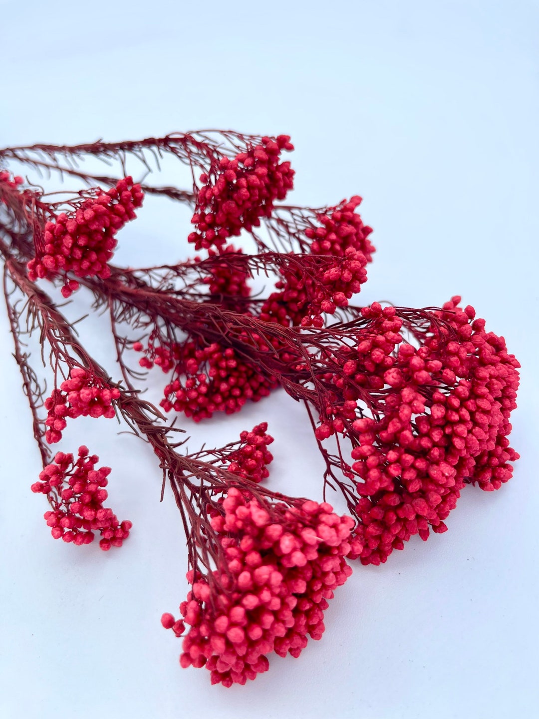 25g of Preserved Ref Rice Flowers With Dark Red Stems| Soft Flexible ...