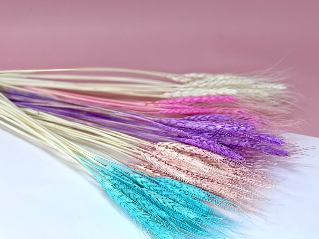 A Bunch of Preserved Natural Dried Wheat. Home Decorations DIY Rustic ...