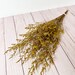 Yellow Lover Grass Preserved Flowers Caspia Tiny Flowers Home ...