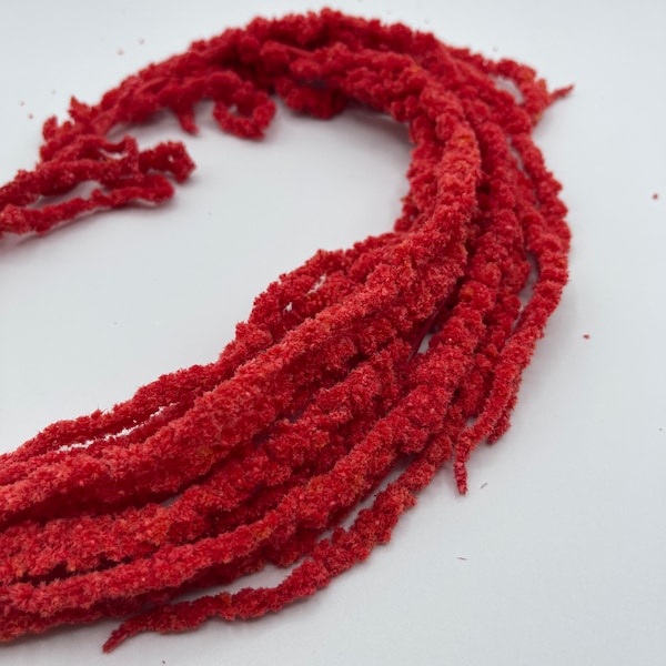Dried Amaranthus - Etsy