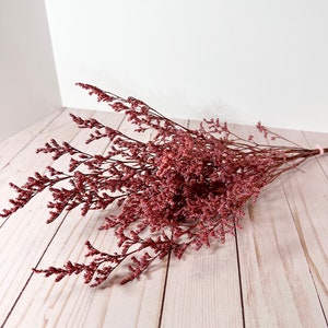 Red Limonium Lover Grass Preserved Flowers Caspia Tiny Flowers Home ...