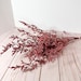 Red Limonium Lover Grass Preserved Flowers Caspia Tiny Flowers Home ...