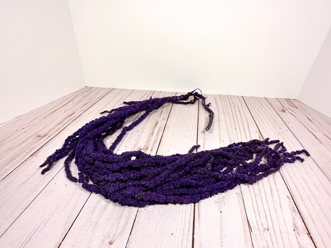 Hanging Preserved Dark Purple Amaranthus Hanging Flowers - Etsy