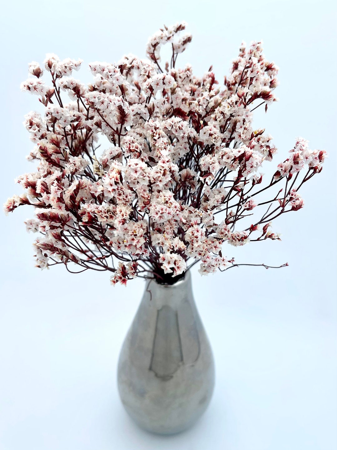 A 9.5 Bouquet of Preserved German Statice, Limonium Dried Flower ...