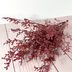 Red Limonium Lover Grass Preserved Flowers Caspia Tiny Flowers Home ...