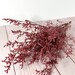 Red Limonium Lover Grass Preserved Flowers Caspia Tiny Flowers Home ...