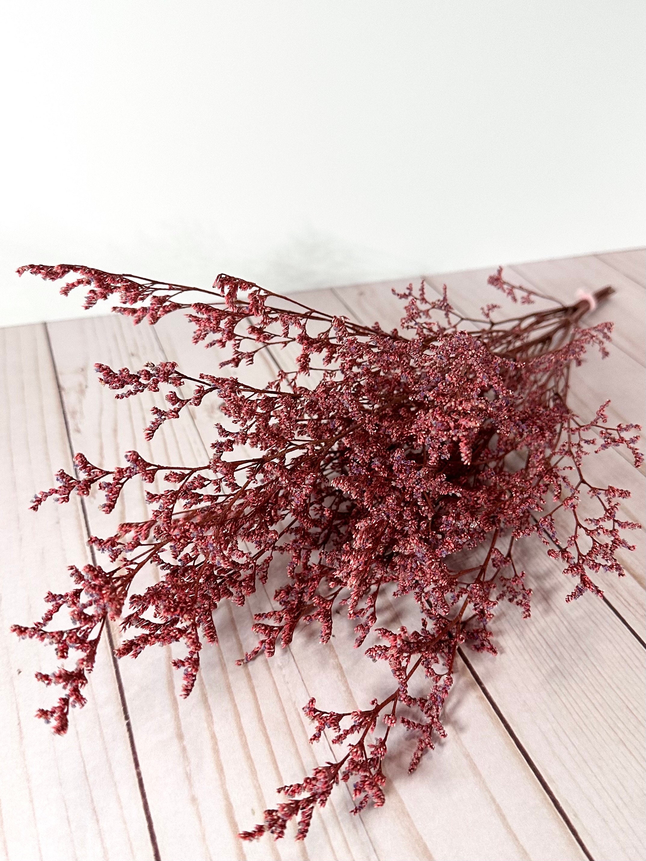 Red Limonium Lover Grass Preserved Flowers Caspia Tiny Flowers Home ...