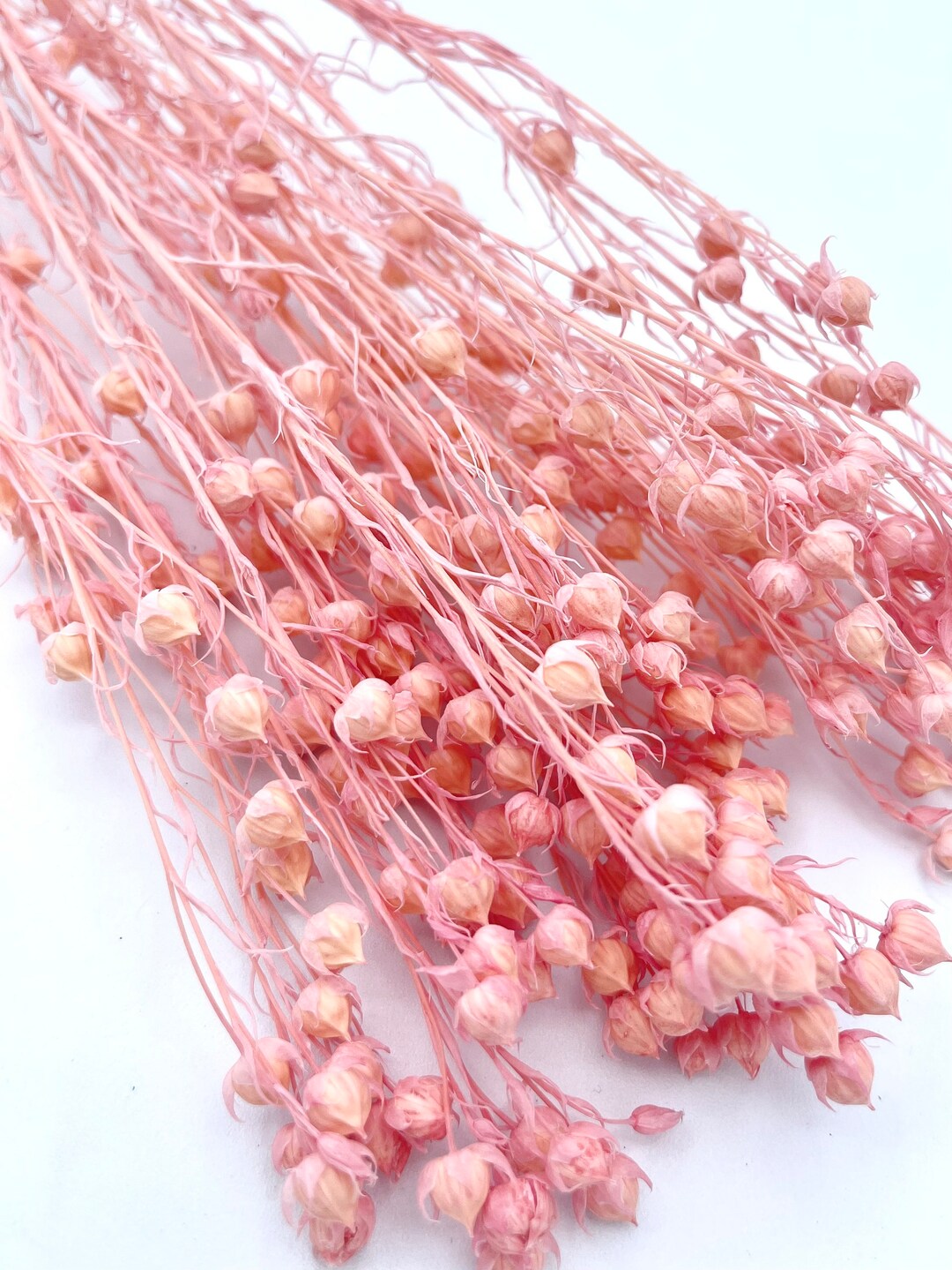22g of Soft Preserved Light Pink Flax Seeds|flexible Not Dried| Long ...