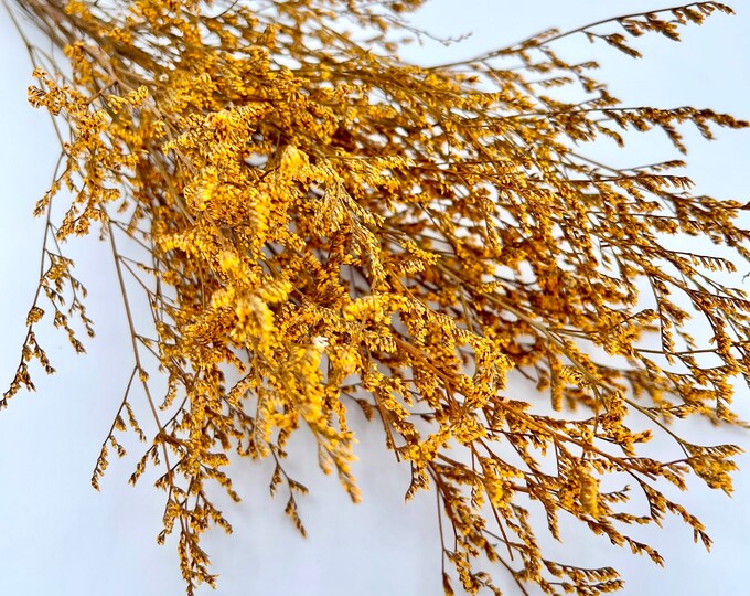 Yellow Lover Grass Preserved Flowers Caspia Tiny Flowers Home - Etsy