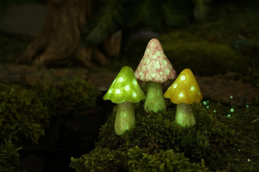 Glowing Mushrooms Fairy Garden Mushrooms Mini Mushrooms - Etsy