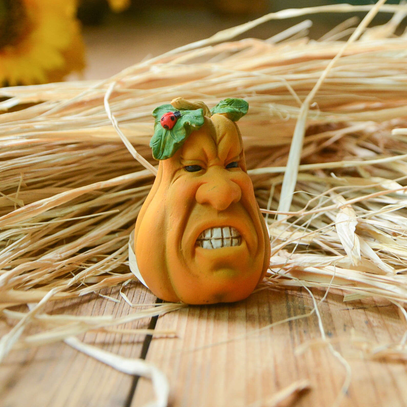 Mini Grumpy Pumpkin Fairy Garden Pumpkin Mini Halloween - Etsy