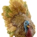 Mini Turkey - Etsy