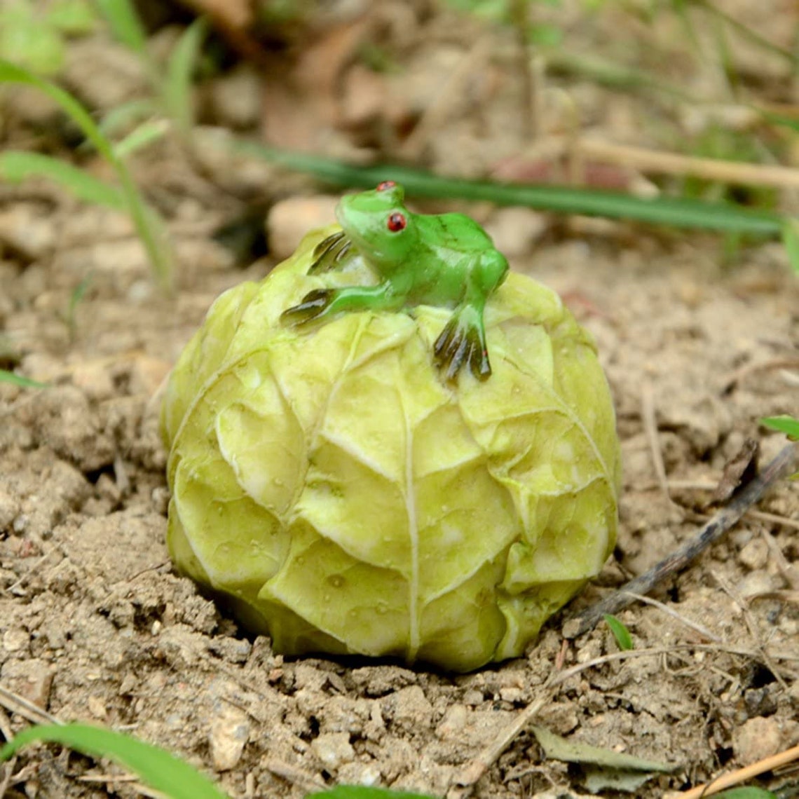 Mini Frog on Cabbage Miniature Frog Fairy Garden Frog - Etsy