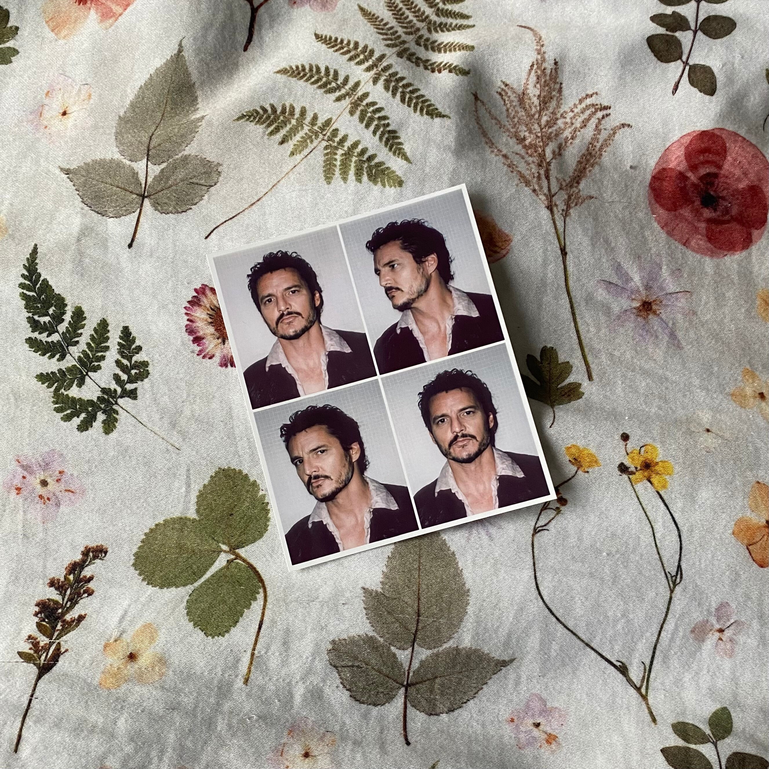 Pedro Pascal Photobooth Print - Etsy UK