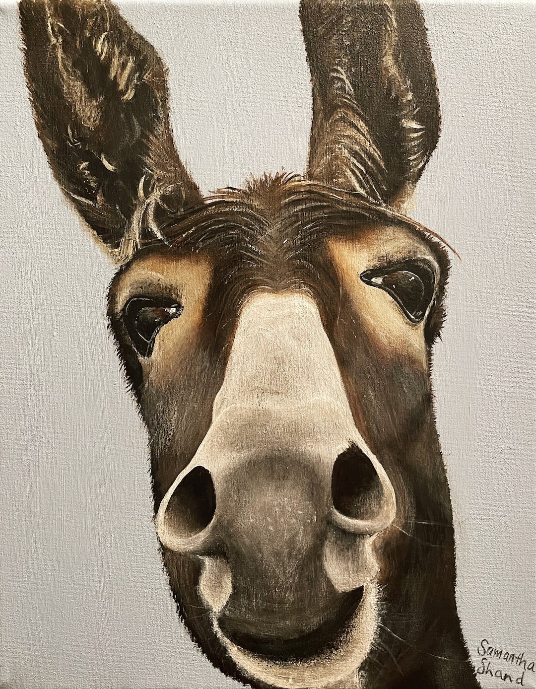 Acrylic Donkey Painting on Canvas - Etsy
