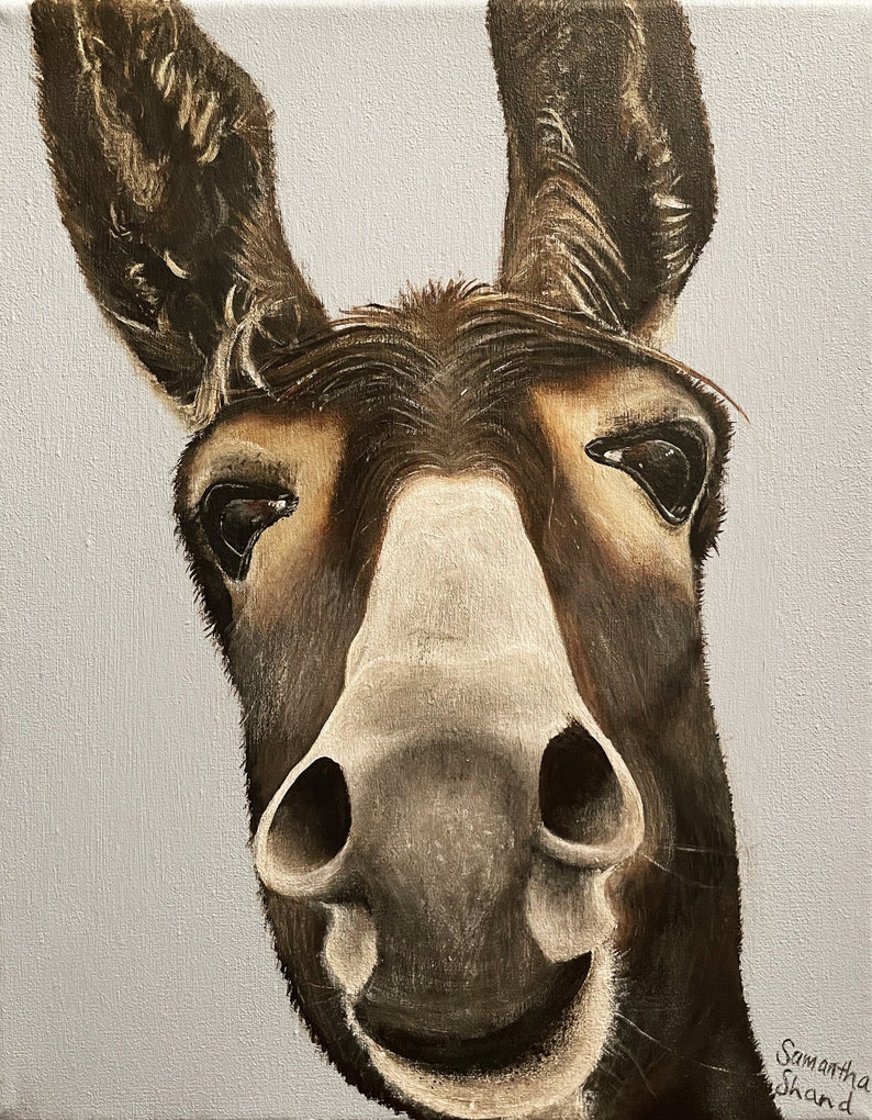 Acrylic Donkey Painting on Canvas - Etsy