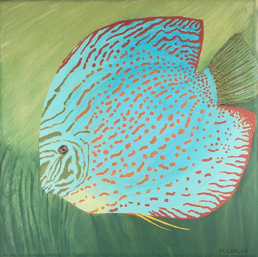 Poster - the Dappled Blue Discus - Etsy