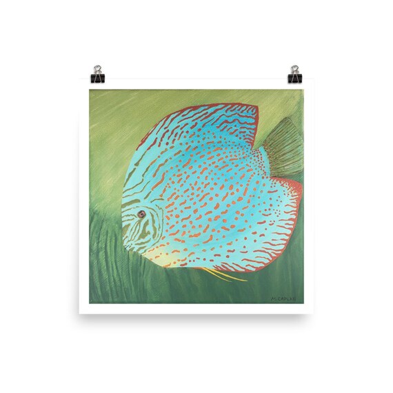Poster the Dappled Blue Discus - Etsy