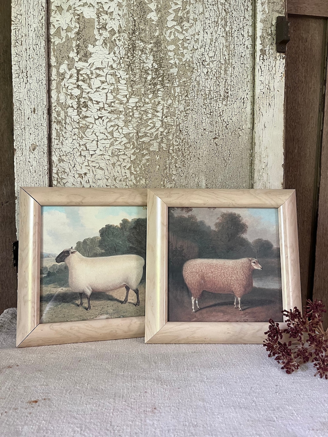 Set of 2 Vintage Sheep Prints in Frames / Sheep Decor / Folk Art Decor ...