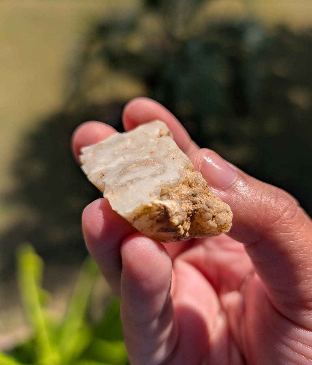 Savannah River Botryoidal Agate: Georgia Crystal Cluster, Collector's ...