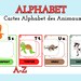 Animal Alphabet Cards, Animal ABC, ABC Cards, Alphabet Flashcards ...