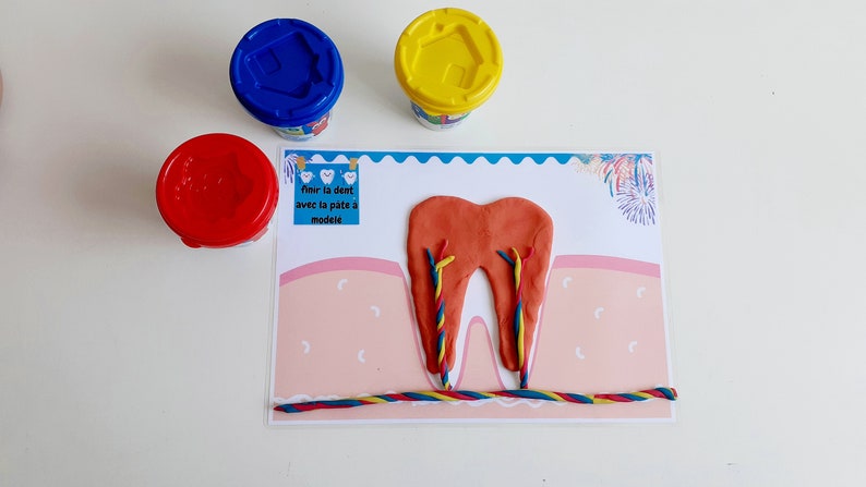 Study the Tooth, Anatomy of a Tooth, Dental Diagram, the Human Body ...