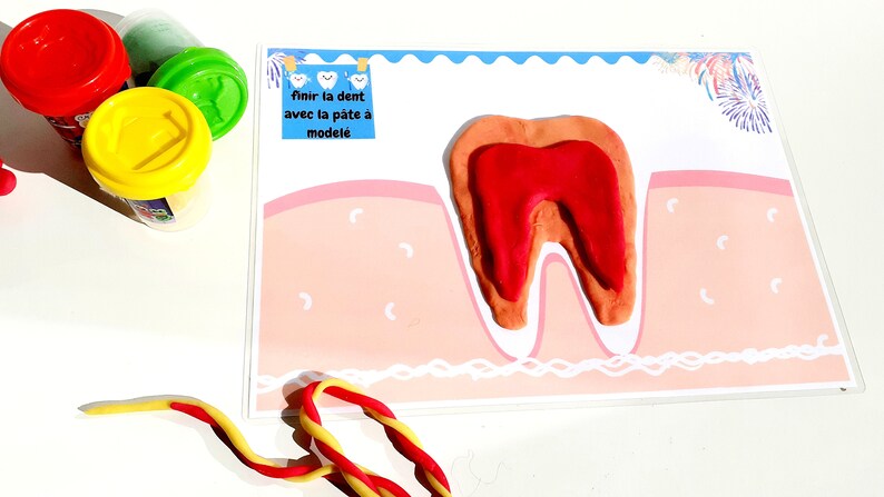 Study the Tooth, Anatomy of a Tooth, Dental Diagram, the Human Body ...