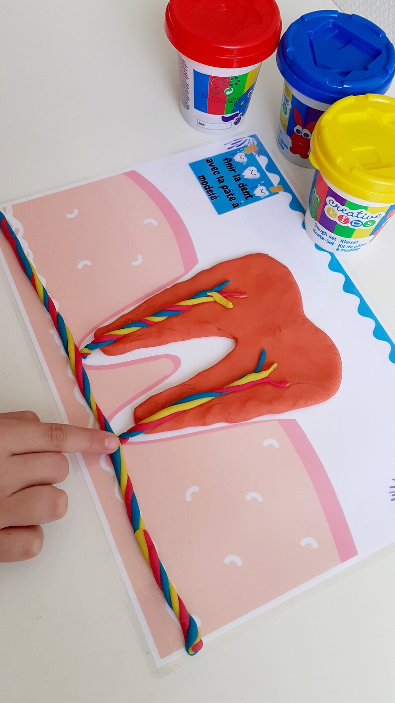 Study the Tooth, Anatomy of a Tooth, Dental Diagram, the Human Body ...