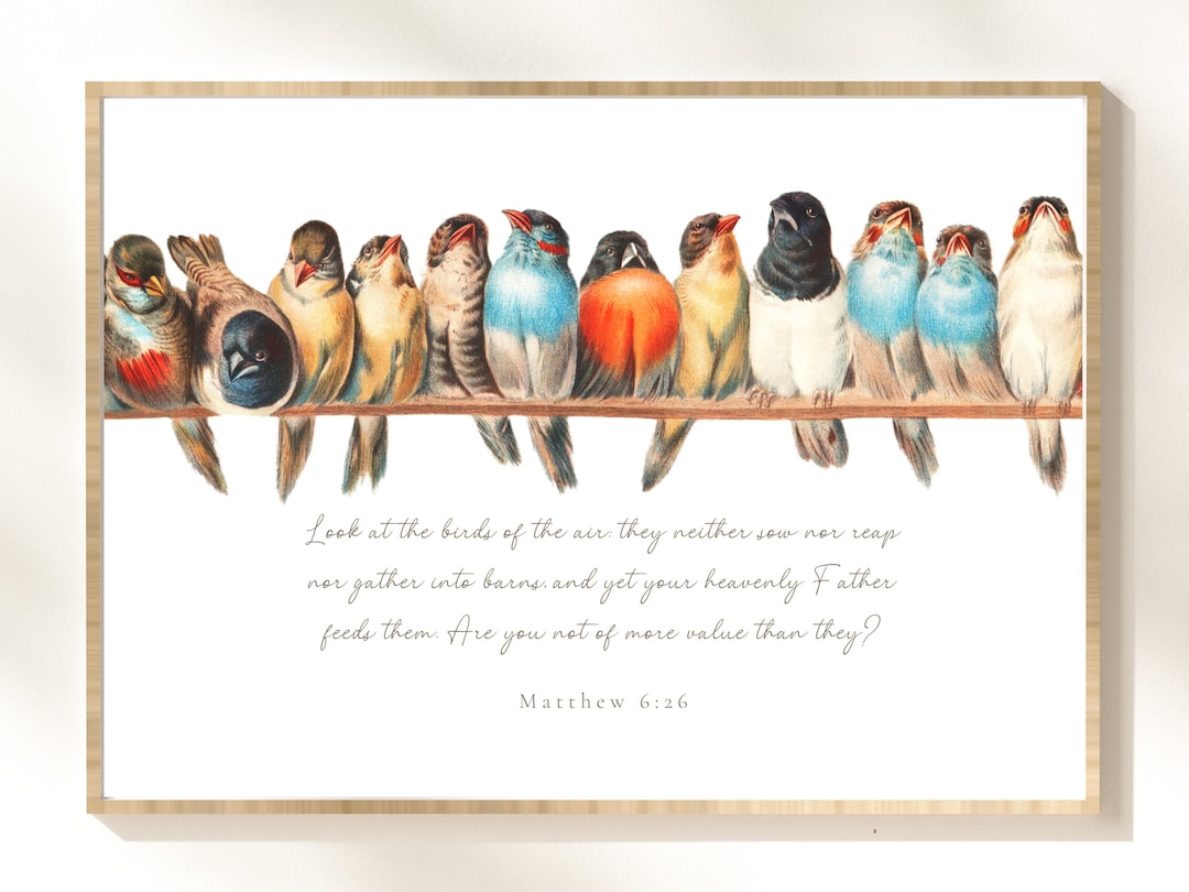 Look at the Birds Matthew 6:26 Do Not Worry Bird Bible Verse Vintage ...