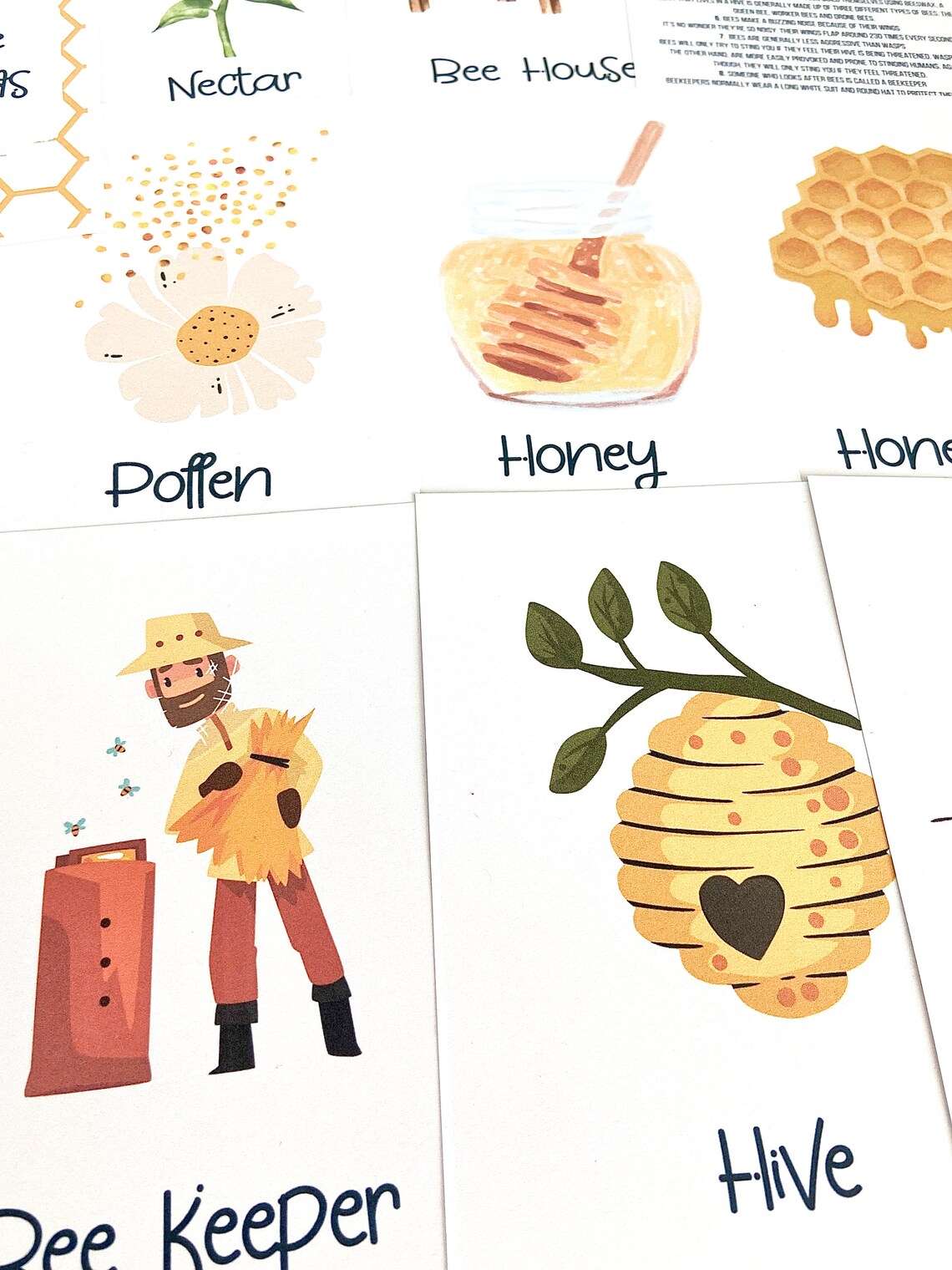 Bee Flashcards Honeybee Flashcards Nature Flashcards Bee Study ...